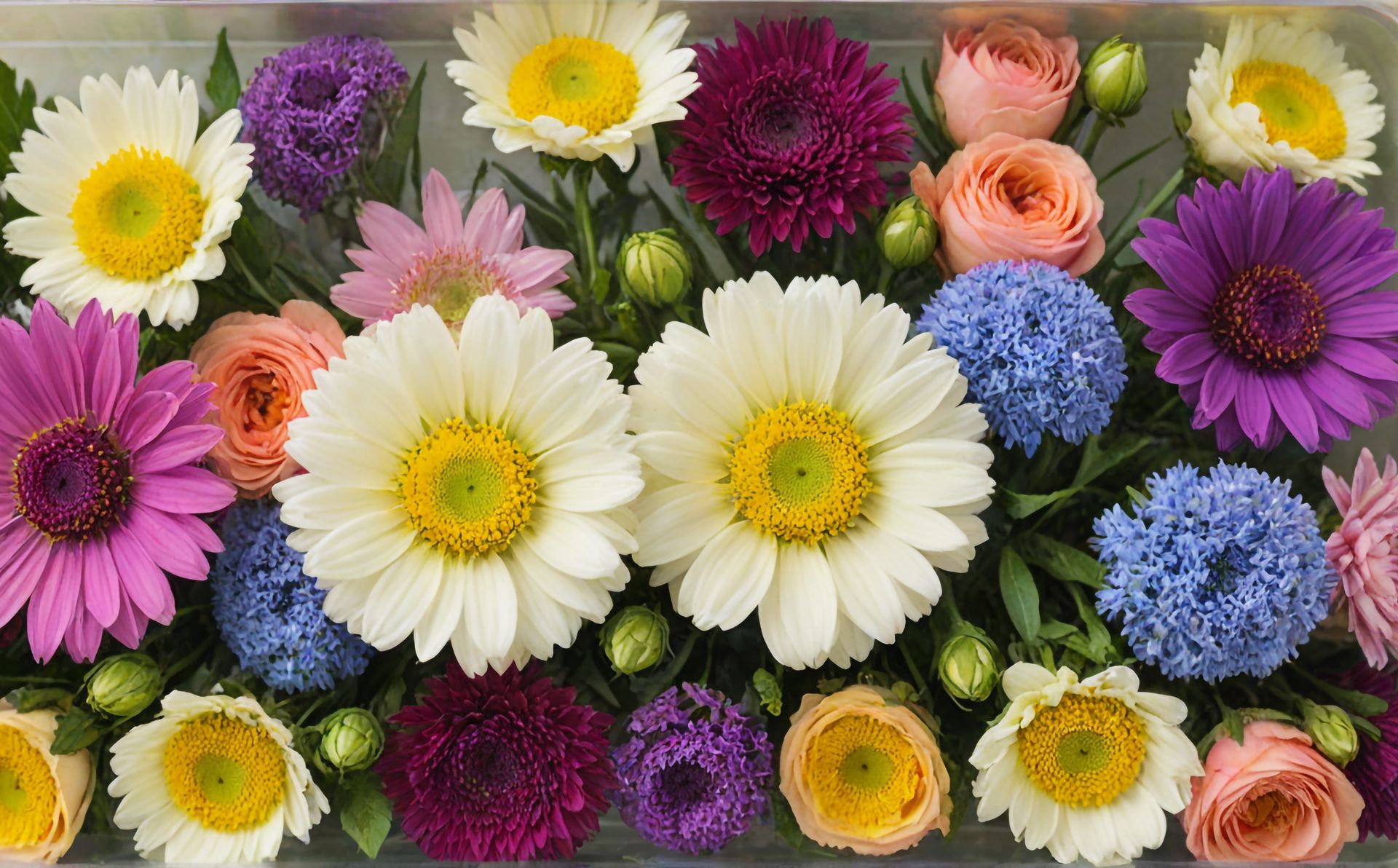 Shop | Lily's Carle Place Garden Center